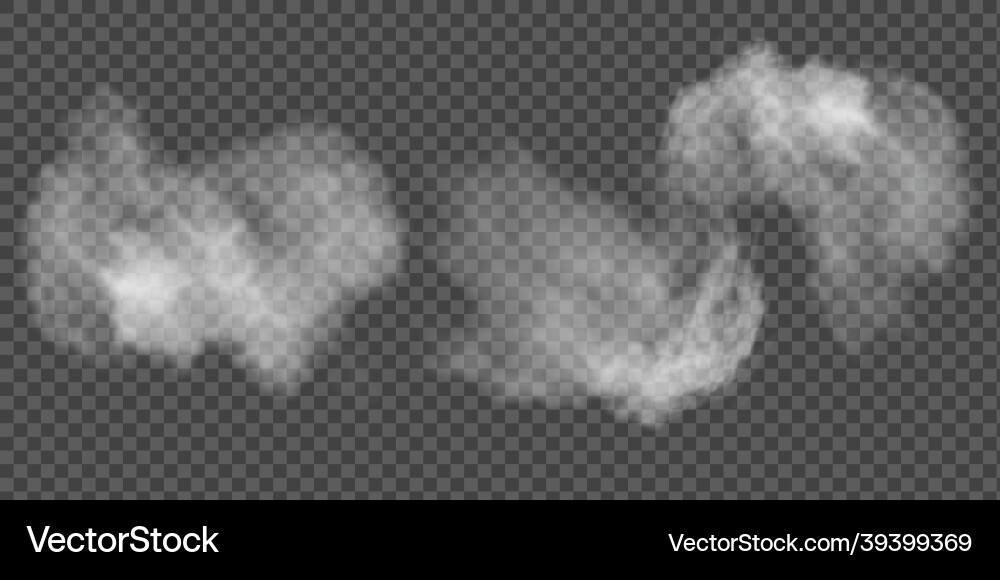 Transparent special effect stands out with fog Vector Image