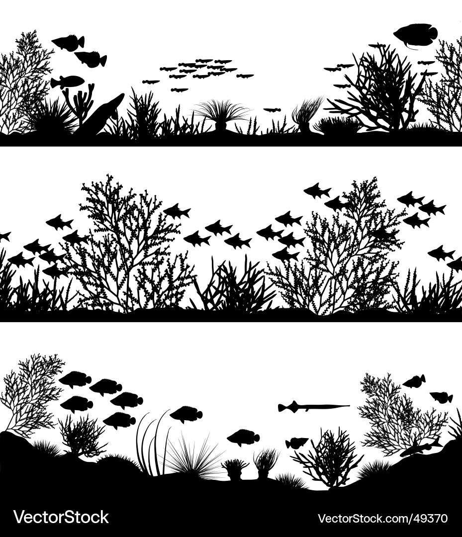 Coral Vector Images (over 74,000)