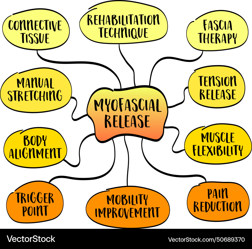 Myofascial release infographics mind map sketch Vector Image