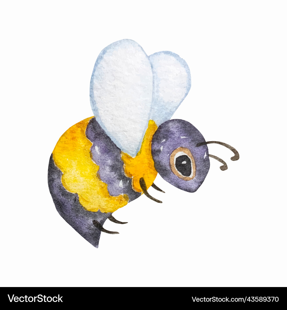 Watercolor cute honey bee Royalty Free Vector Image