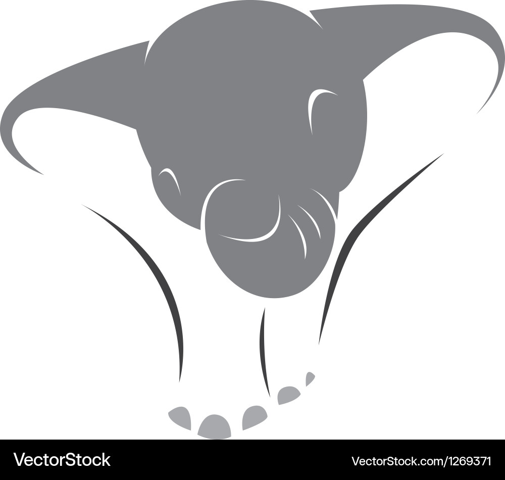 Elephant Royalty Free Vector Image - VectorStock