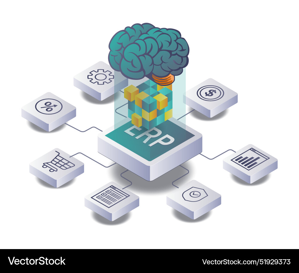 Erp Database Network For Business Development Vector Image