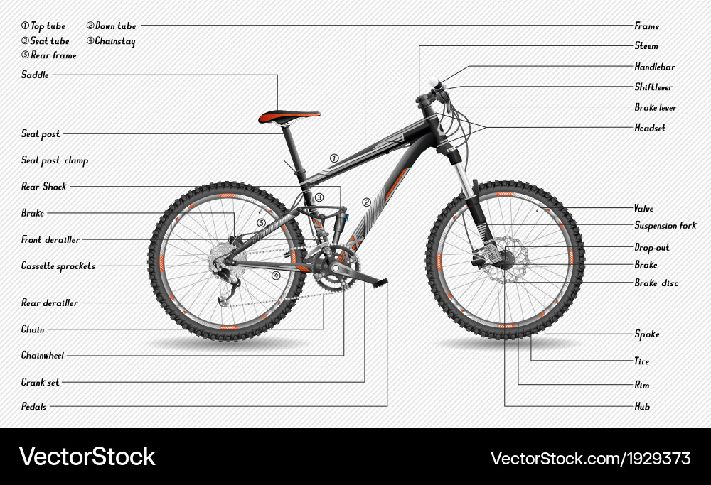 Full suspension mtb scheme Royalty Free Vector Image