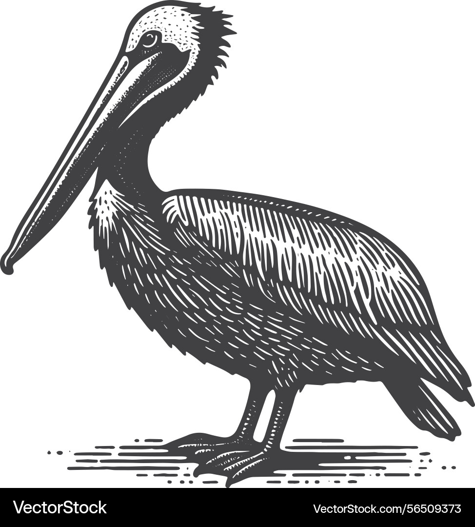 Simple brown pelican side view icon design Vector Image
