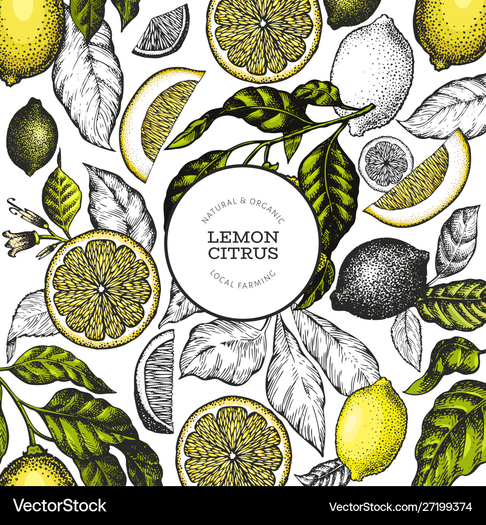 Lemon tree banner template hand drawn fruit Vector Image