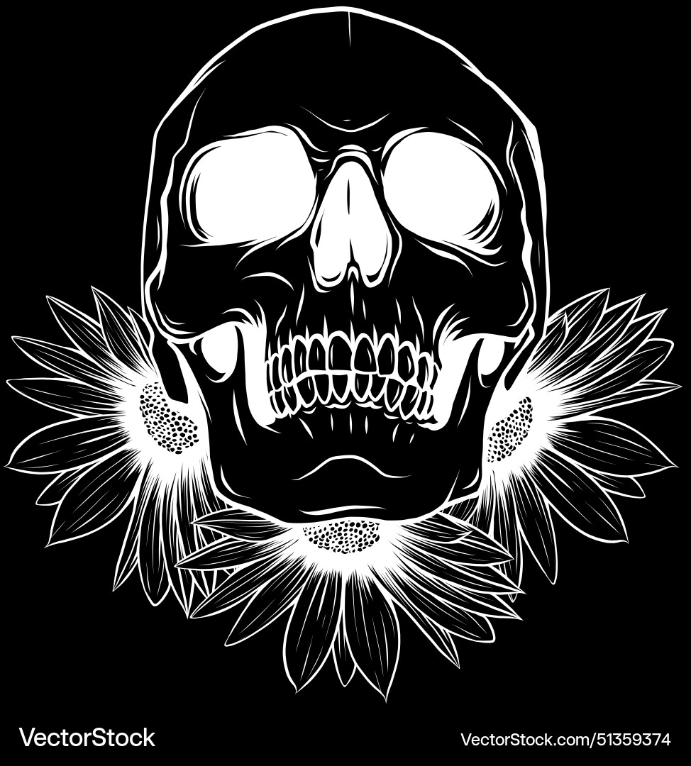 Outline human skull design Royalty Free Vector Image