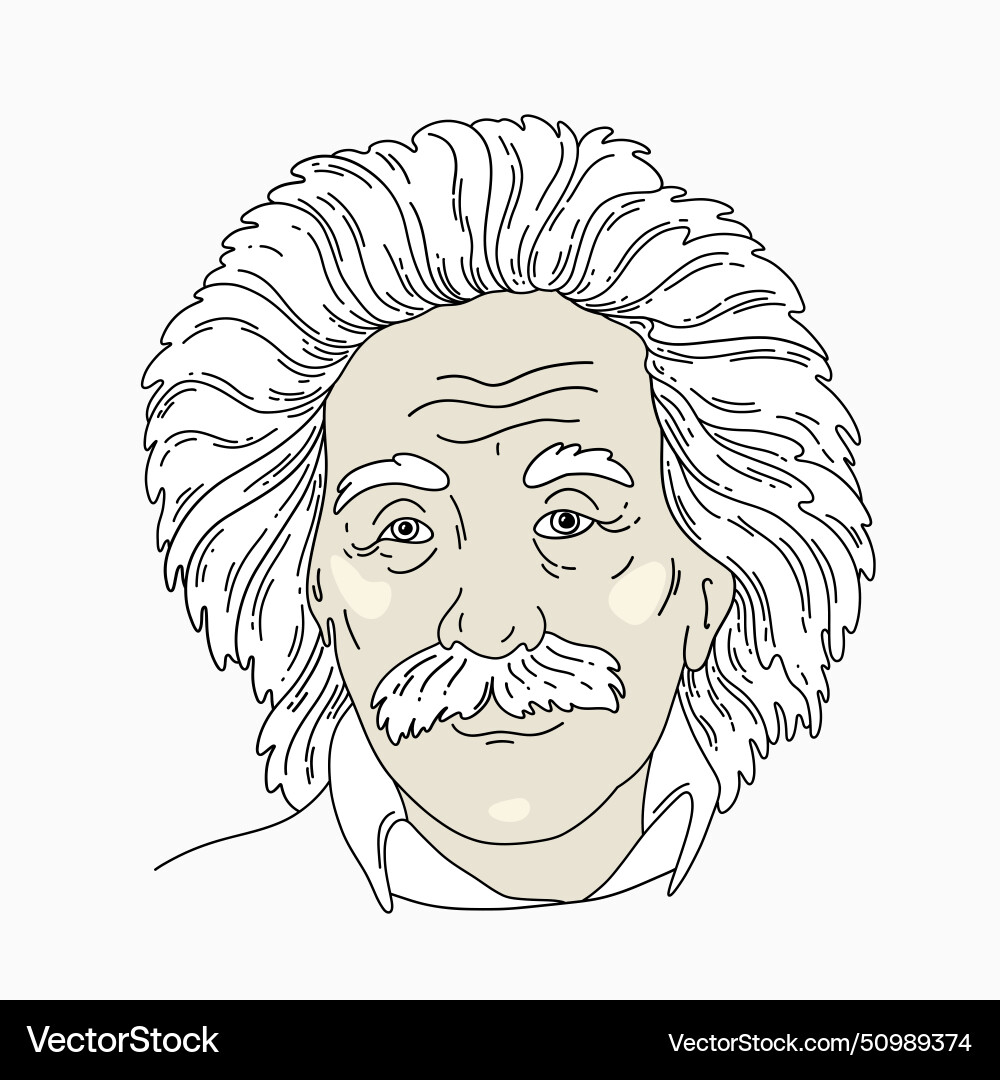 Portrait albert einstein scientist mathematics Vector Image