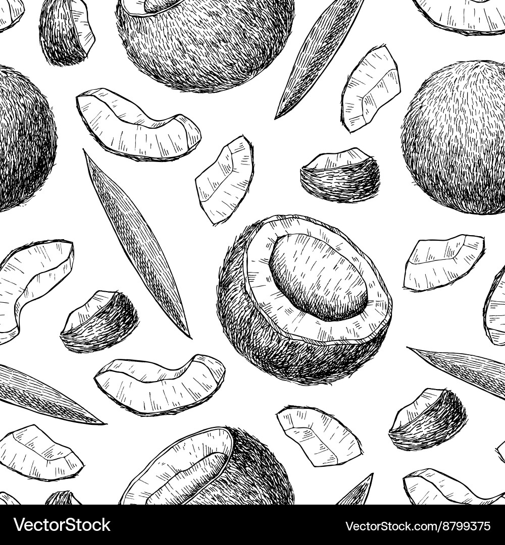Hand drawn coconut seamless pattern Royalty Free Vector