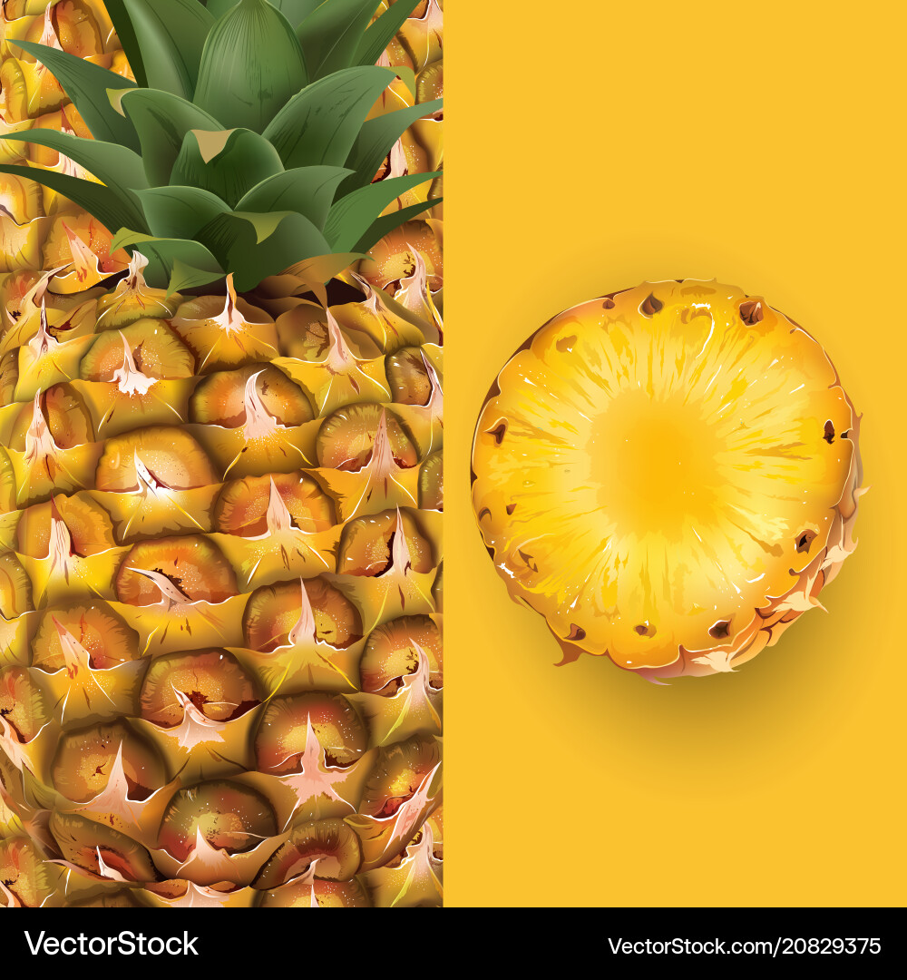 Pineapple Royalty Free Vector Image - VectorStock