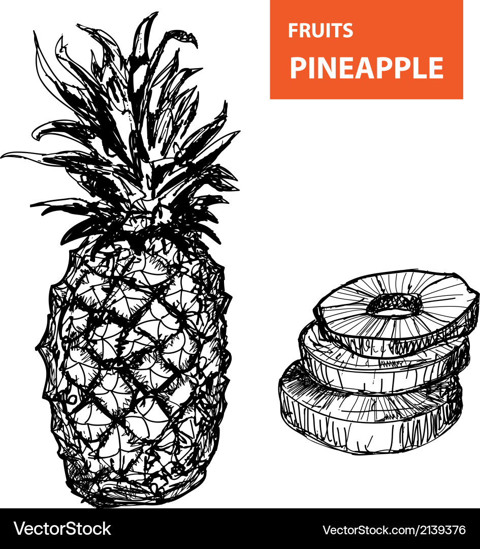 Pineapple Royalty Free Vector Image - VectorStock