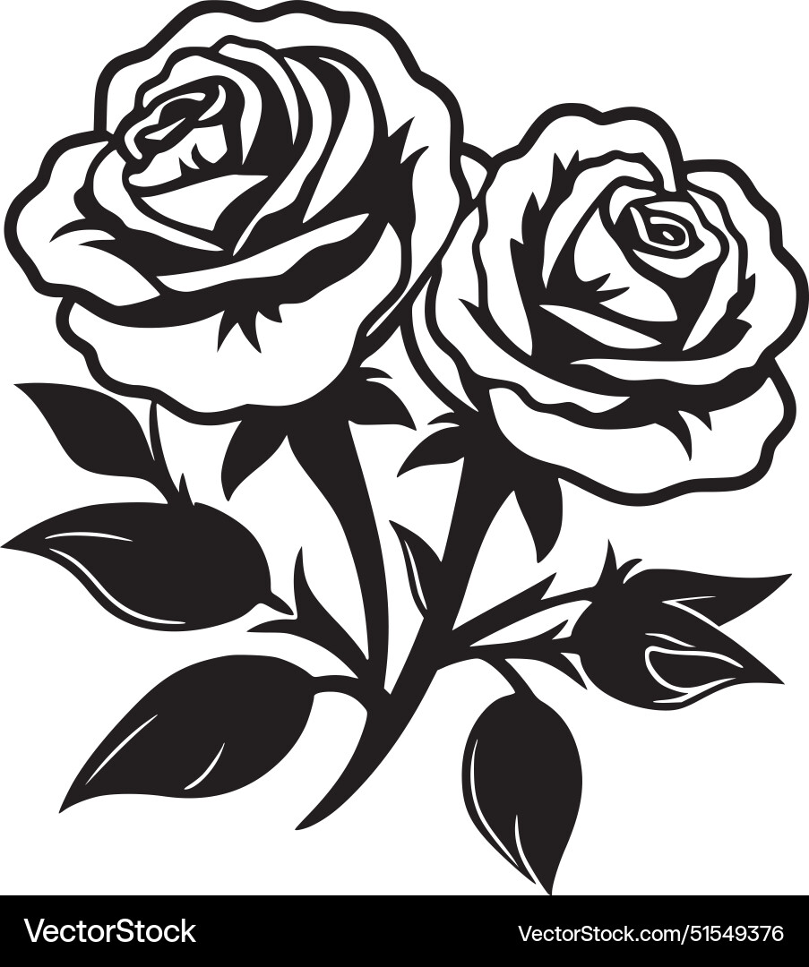 Roses - high quality logo ideal for t-shirt Vector Image