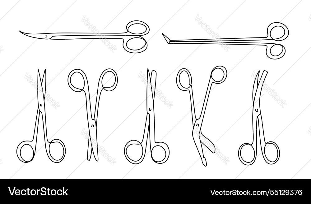 Surgical scissors Royalty Free Vector Image - VectorStock