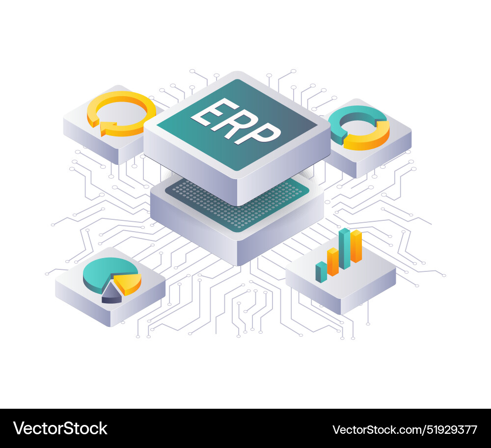 Erp network technology for business analysis Vector Image