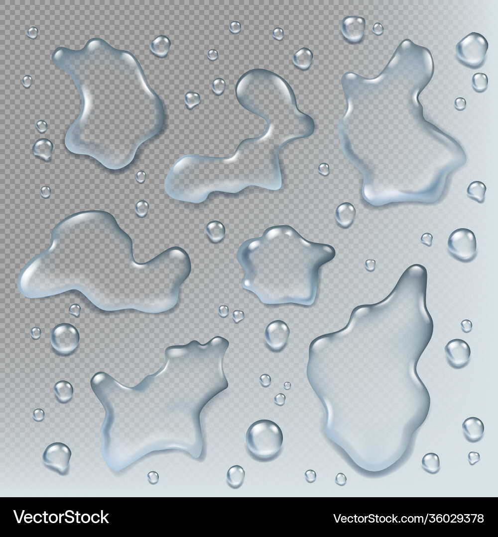 Realistic Water Puddles - Top View Royalty Free Vector Image