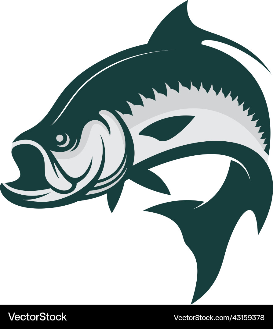 Tarpoun fish fishing template Royalty Free Vector Image