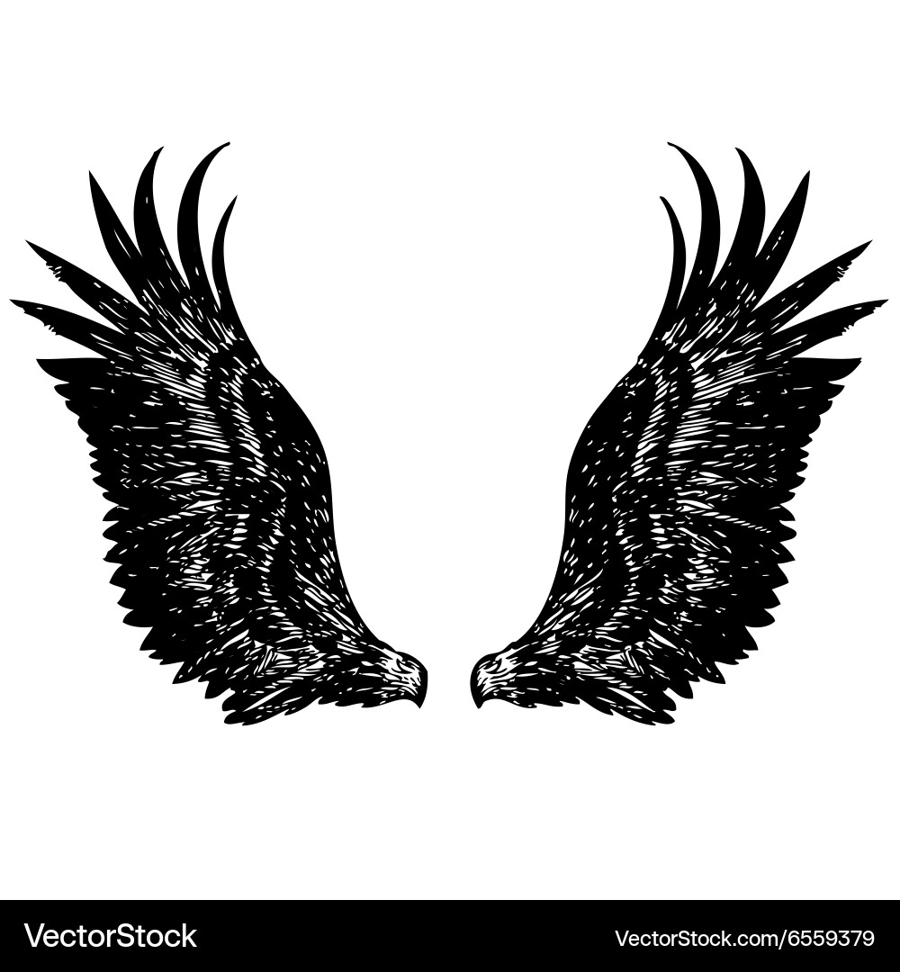 Eagle wing Royalty Free Vector Image - VectorStock