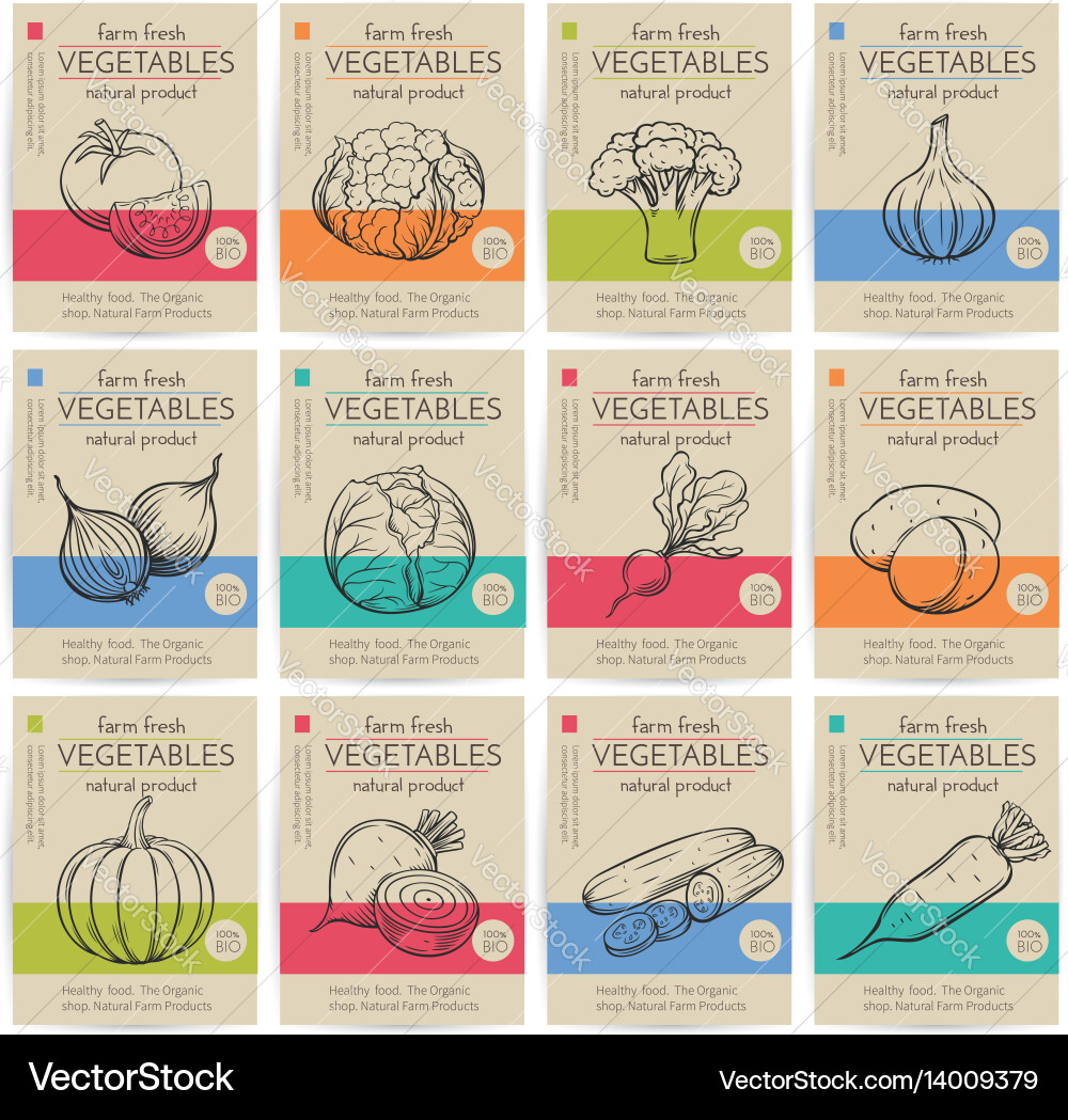 Hand Drawn Vegetable Posters Royalty Free Vector Image