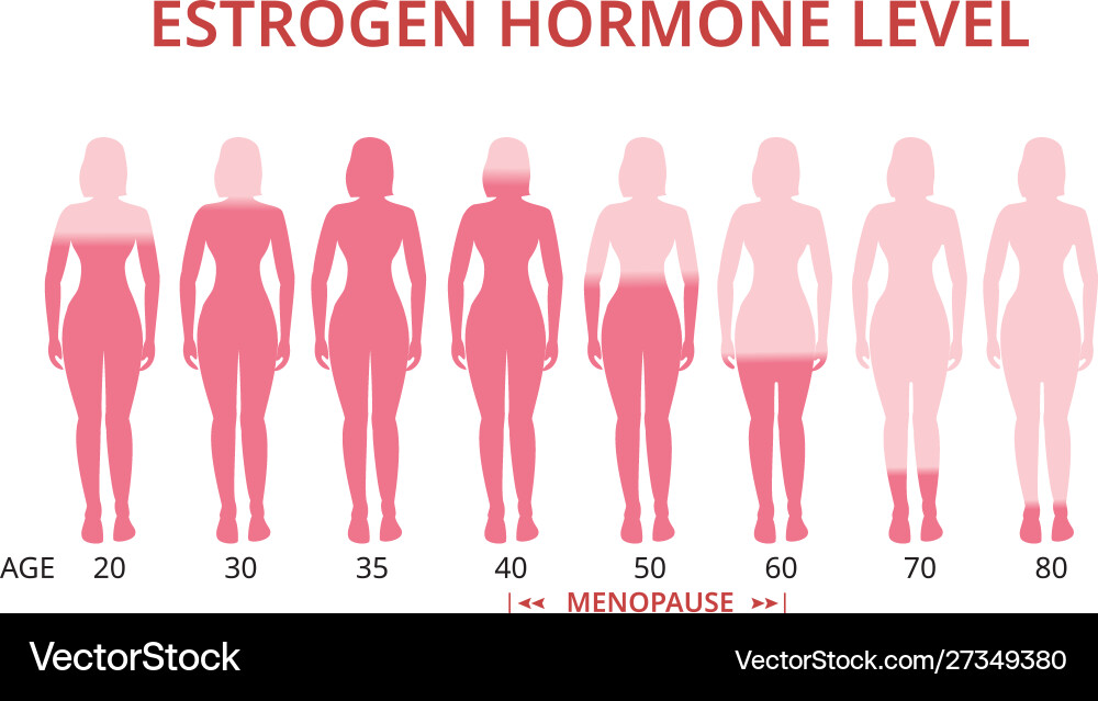 Menopause Estrogen Level Chart