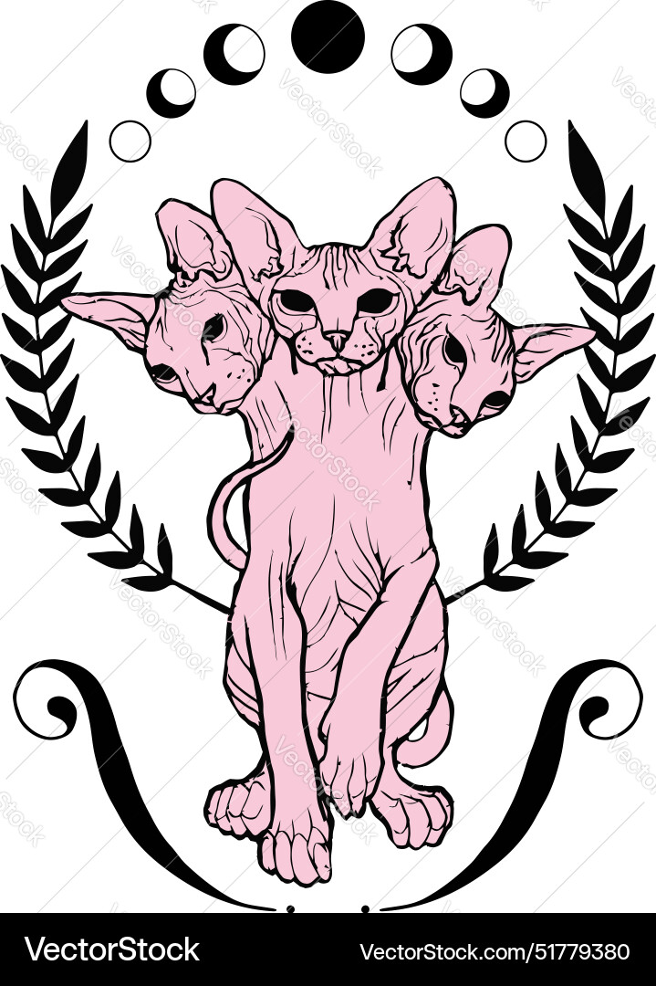 Sphynx breed with three heads gothic art Vector Image