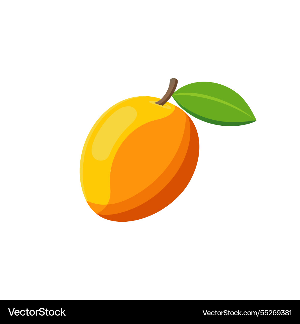 Fresh mango isolated flat on white background Vector Image