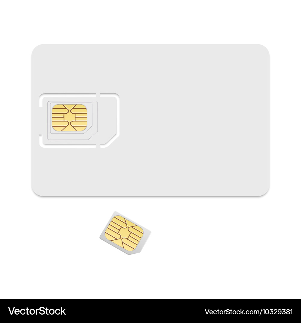 Realistic SIM Card Template Royalty Free Vector Image