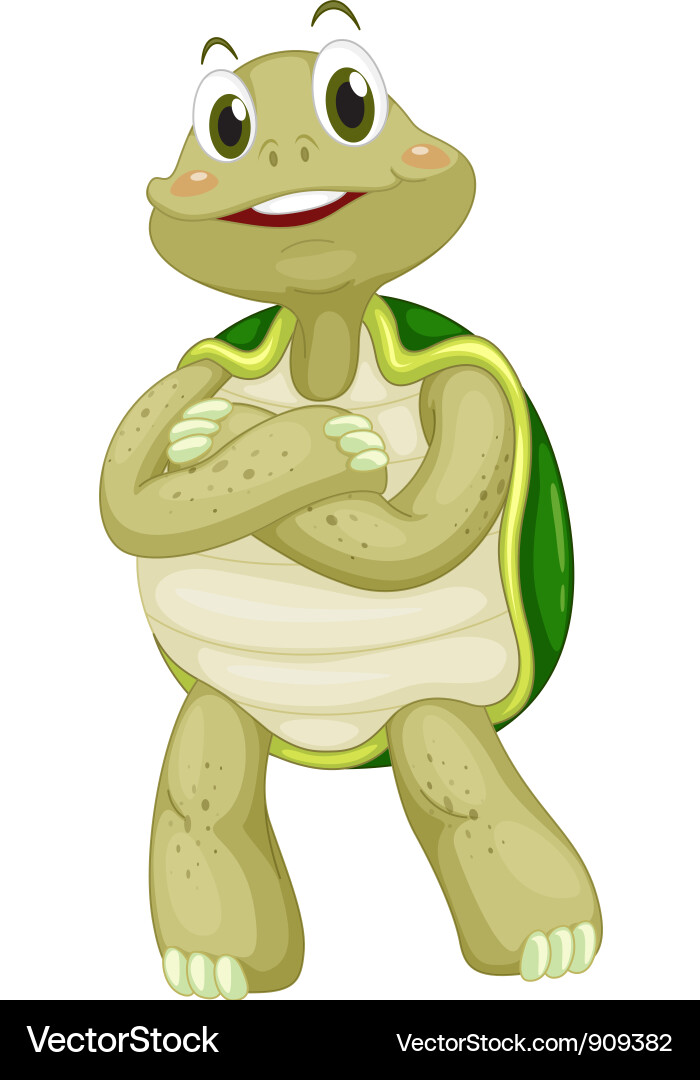 Animated turtle Royalty Free Vector Image - VectorStock