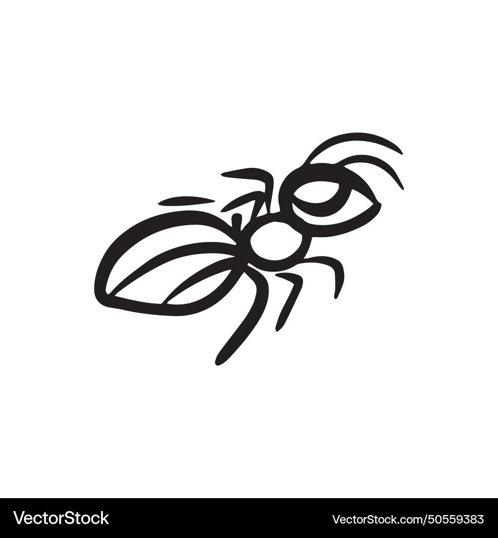 Ant design Royalty Free Vector Image - VectorStock