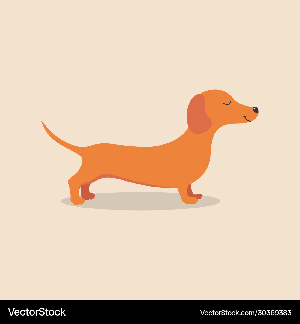 Daschund Cartoon Vector Images (68)
