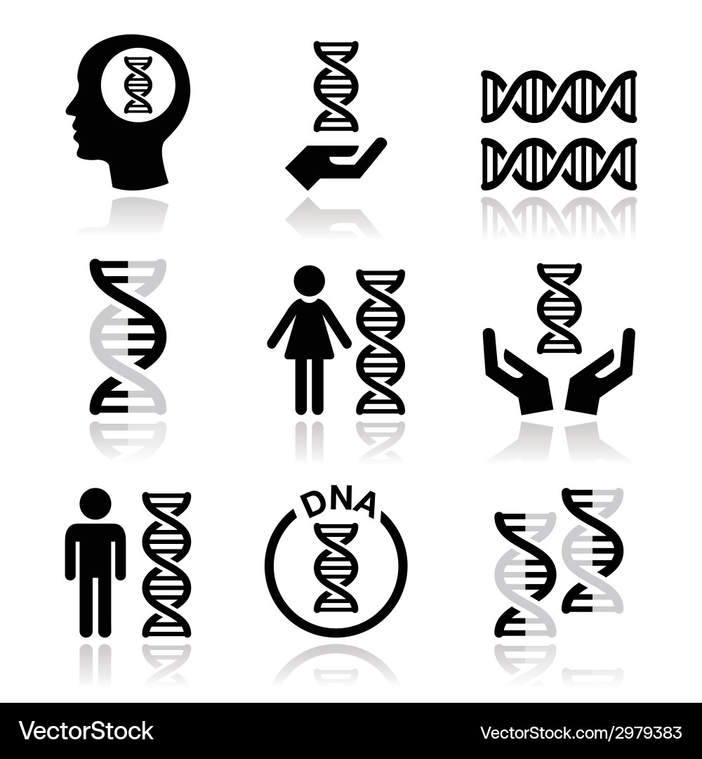 Human dna genetics icons set Royalty Free Vector Image