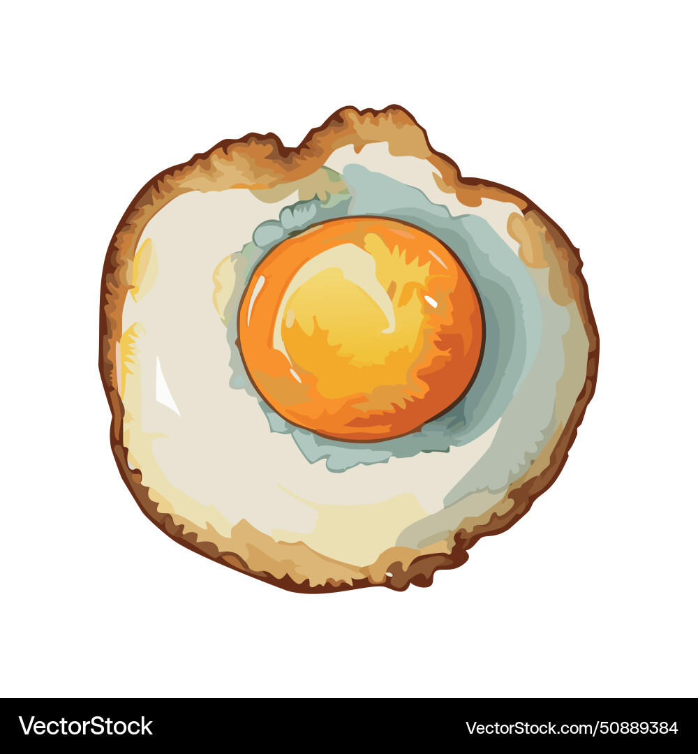 Fried egg Royalty Free Vector Image - VectorStock