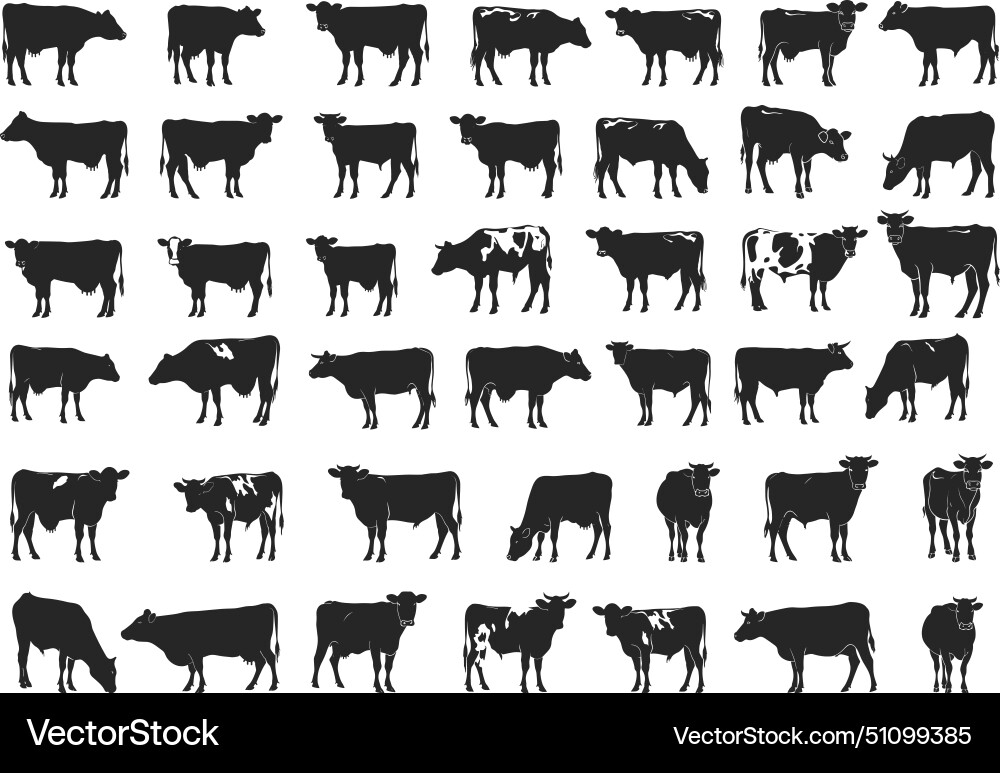 Cow silhouettes set spotted agricultural Vector Image