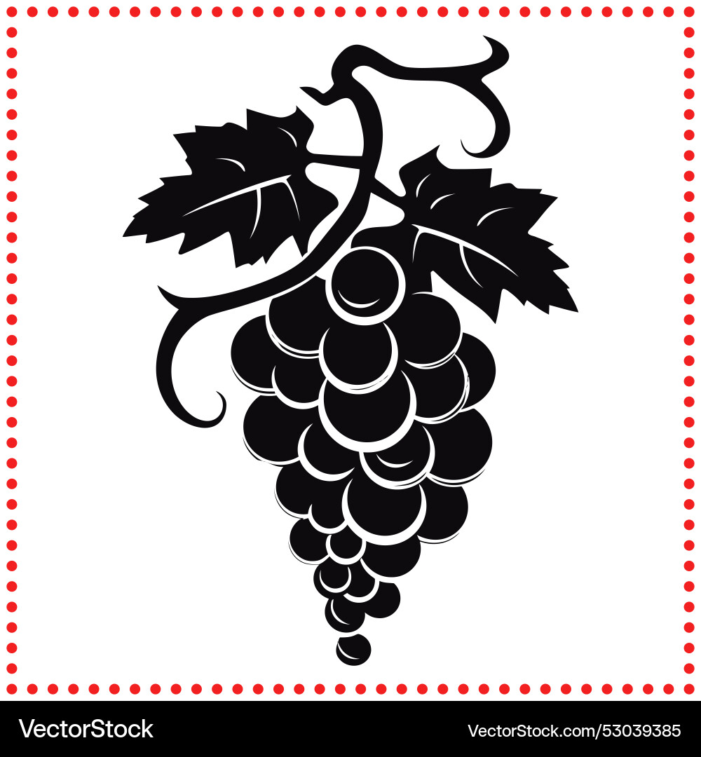 Stylized grapevine with cluster and leaves Vector Image