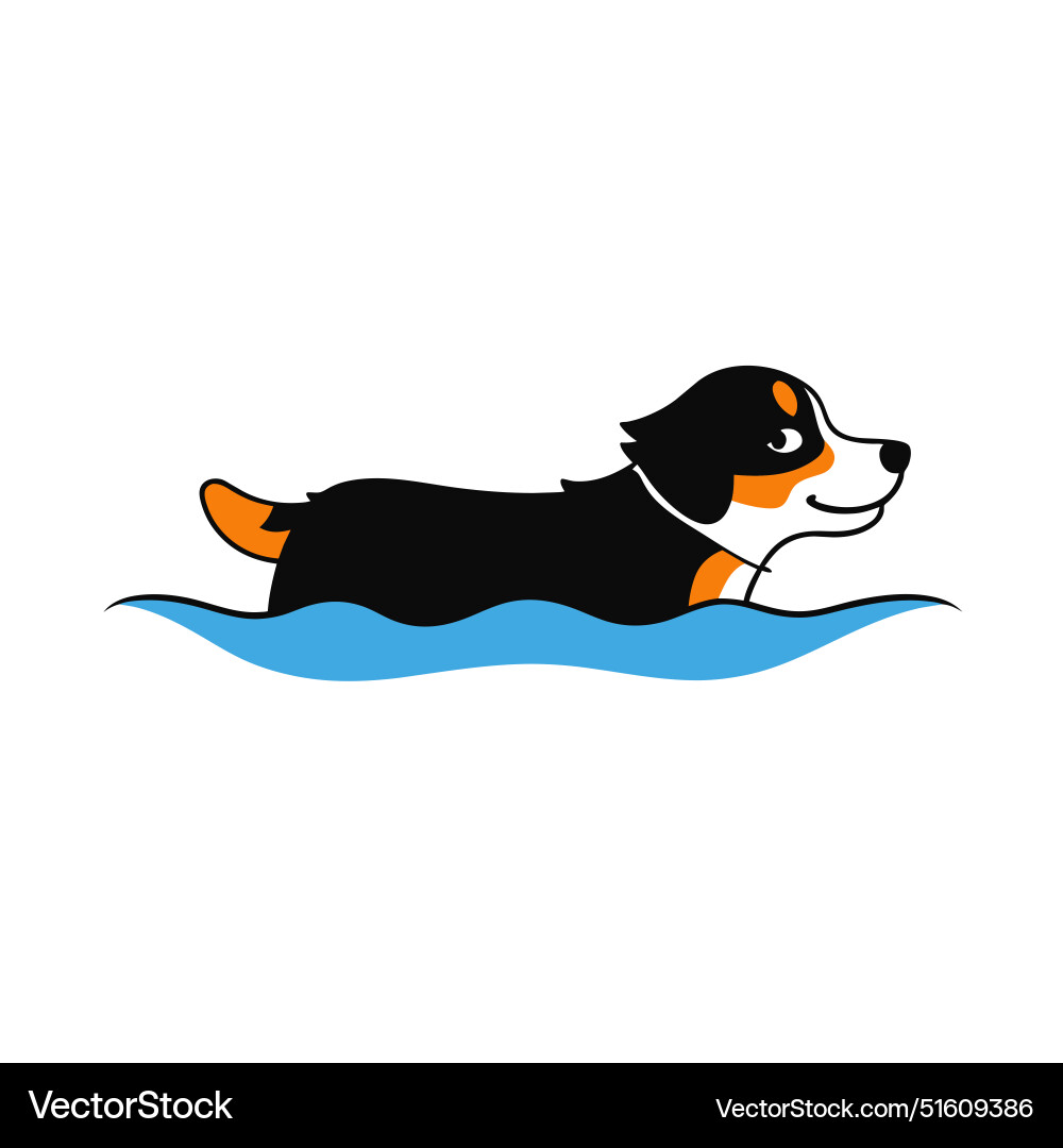 Bernese mountain dog swims icon – Royalty-Free Vector | VectorStock