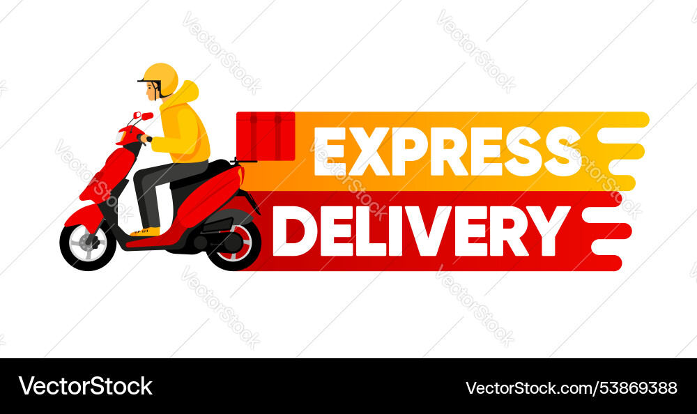 Express delivery service concept courier and fast Vector Image