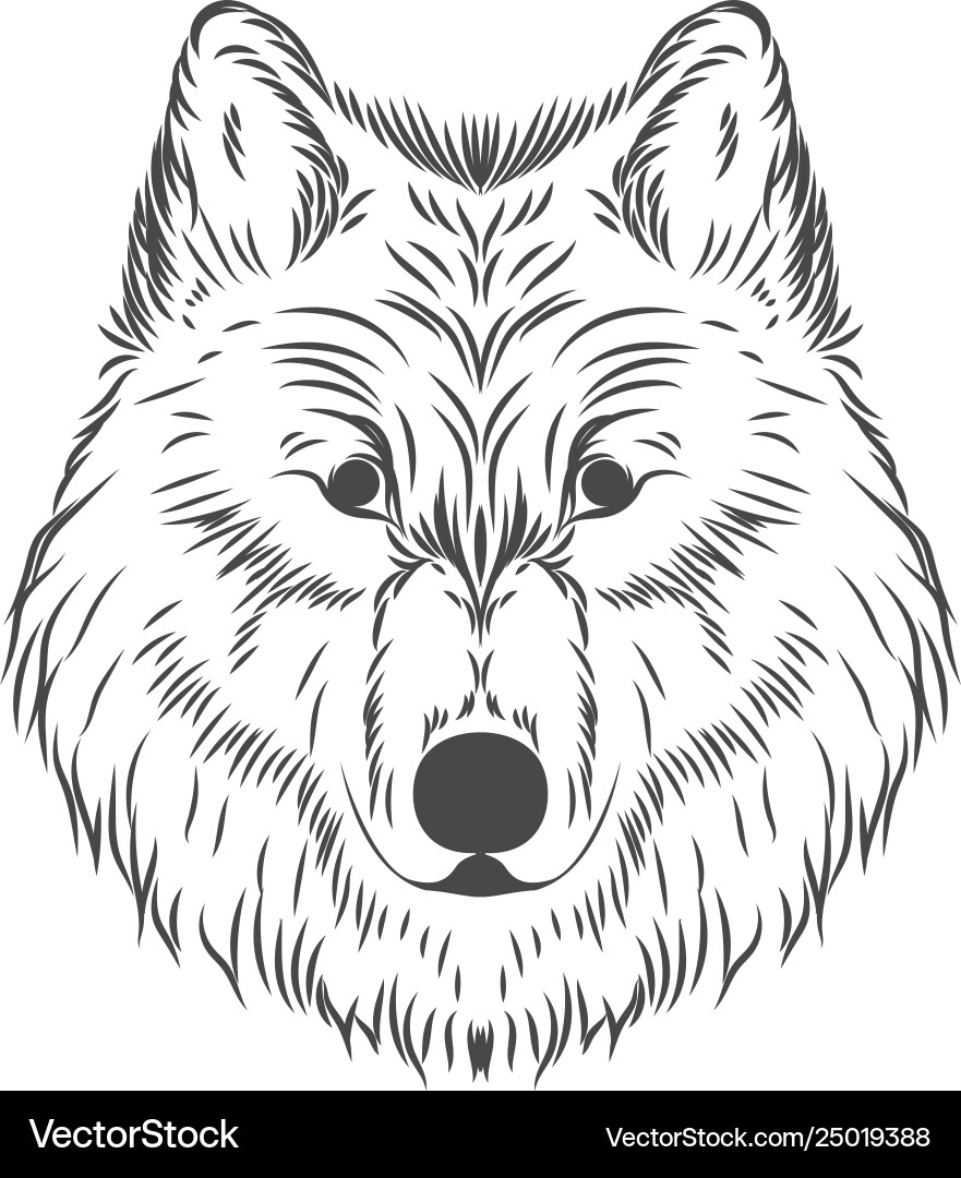 Line art design with theme wolf image Royalty Free Vector