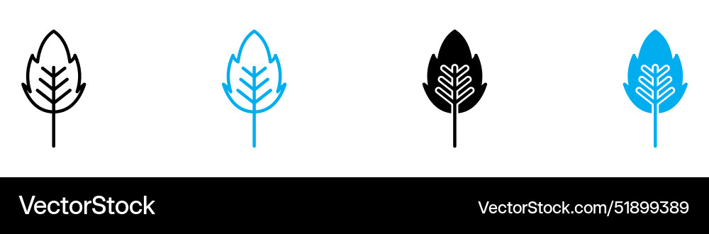 Birch leaf icon for nature botany Royalty Free Vector Image