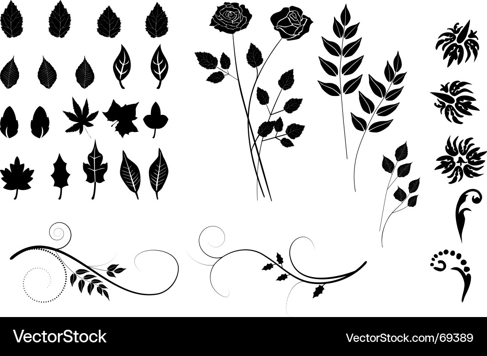 Plants collection Royalty Free Vector Image - VectorStock