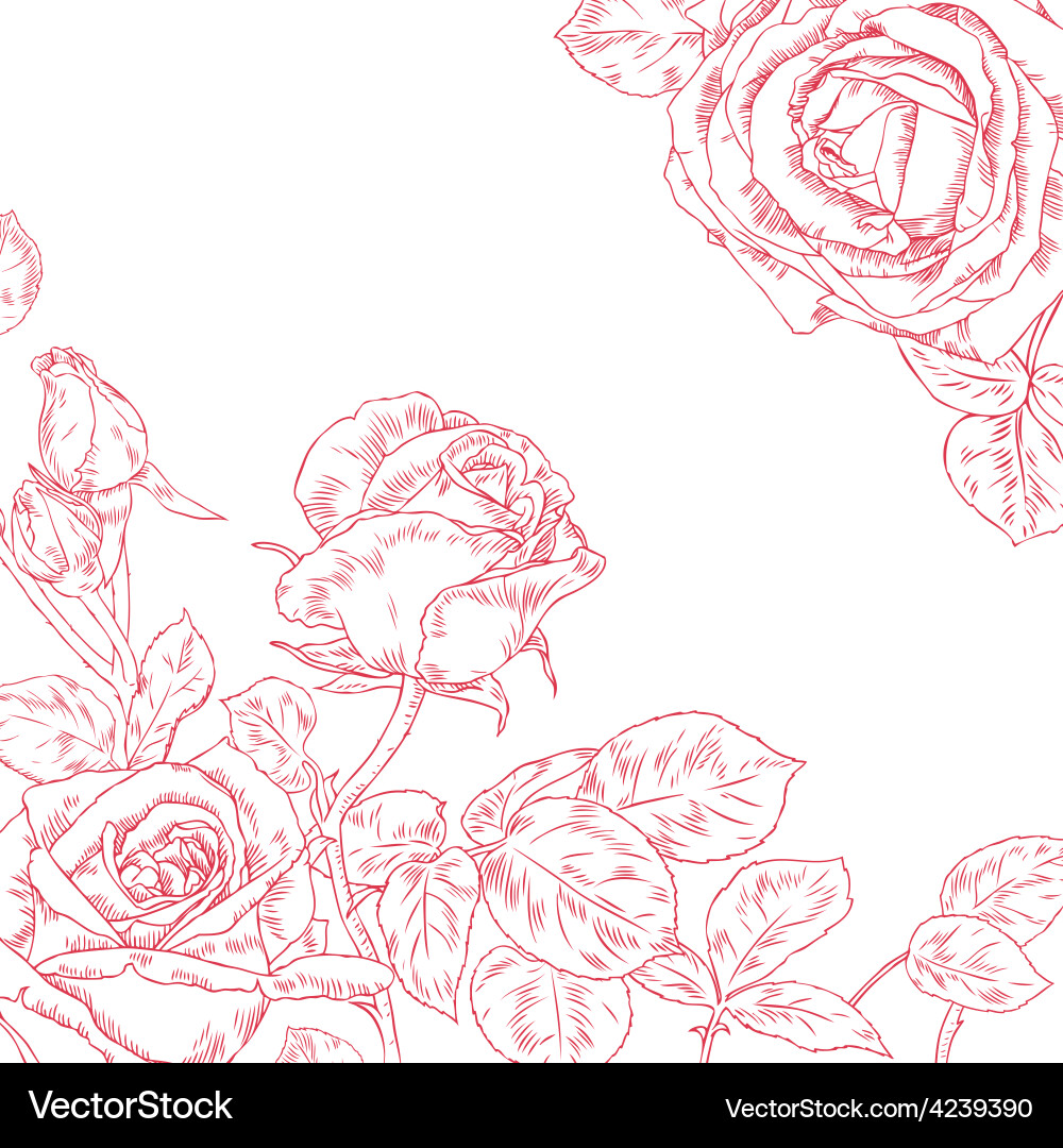 Beautiful rose Royalty Free Vector Image - VectorStock