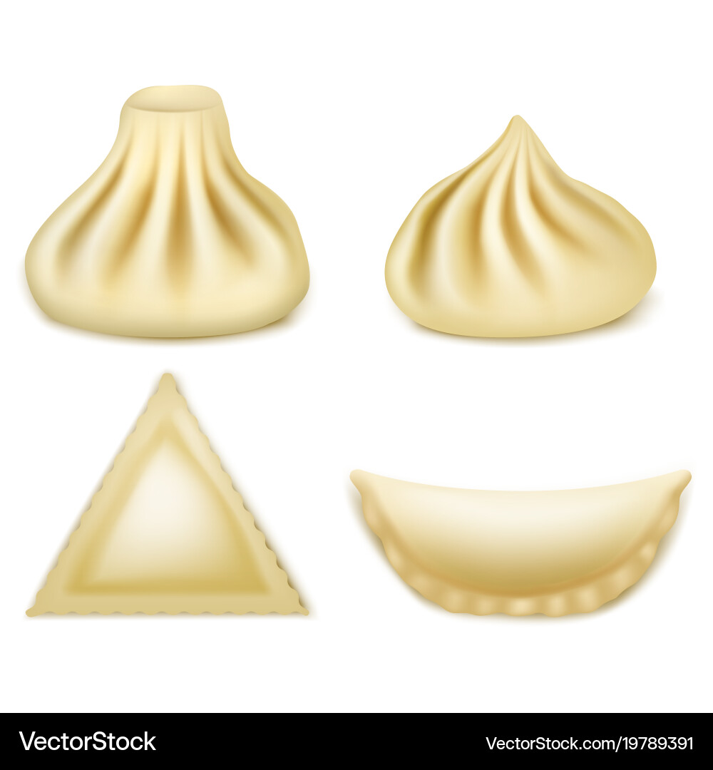 Realistic Dumpling Set - Khinkali & More Vector Image