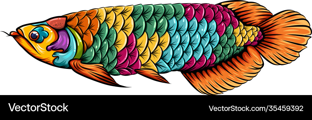Arowana fish entangle with beautiful Royalty Free Vector