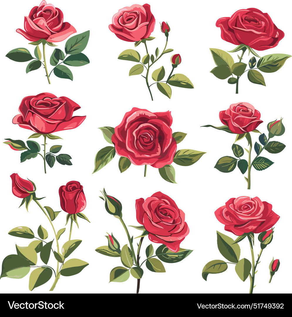 Roses cartoon set buds red petals stems Royalty Free Vector