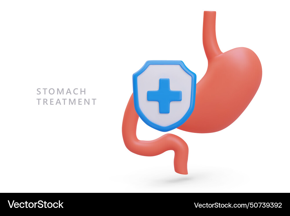 Stomach treatment realistic medical Royalty Free Vector