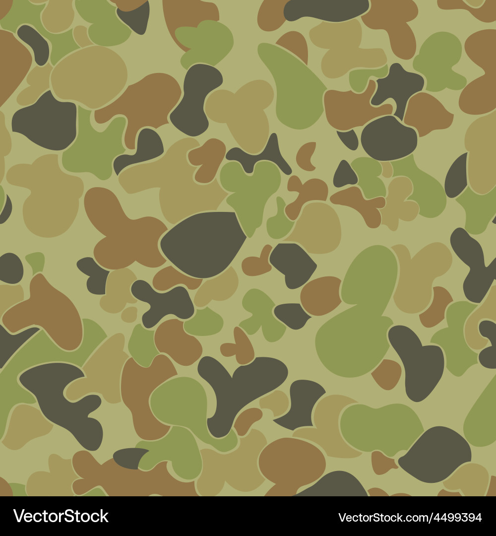 Auscam pattern Royalty Free Vector Image - VectorStock