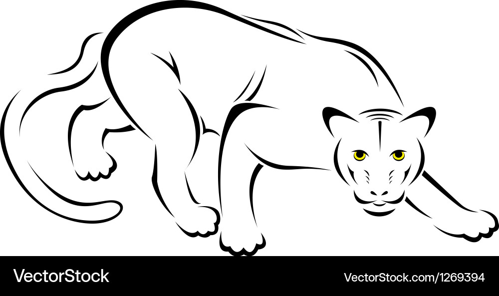 Panther Royalty Free Vector Image - VectorStock