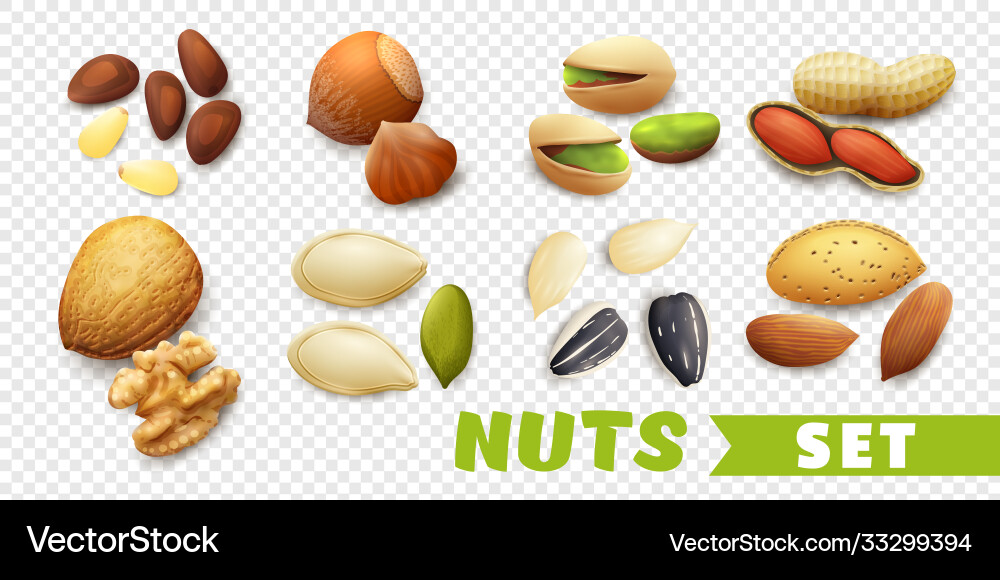 Realistic nuts set Royalty Free Vector Image - VectorStock