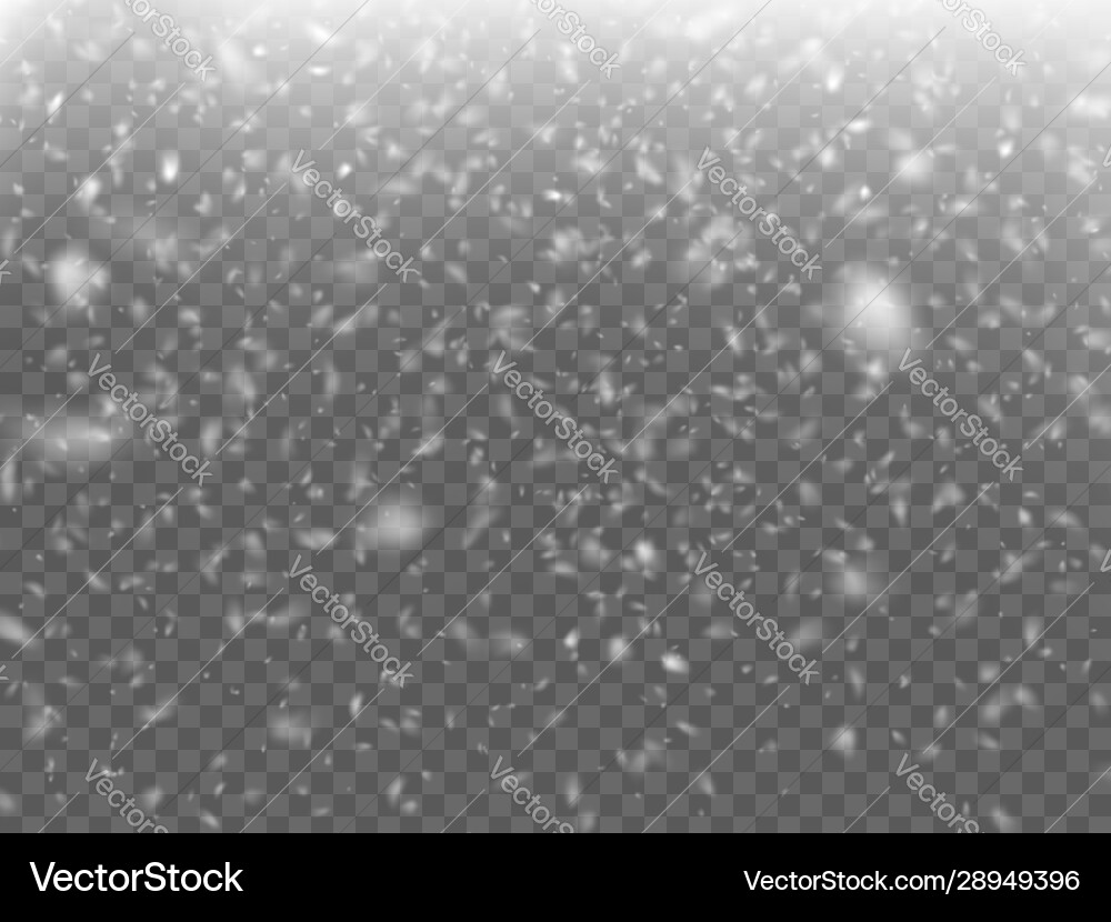 Realistic falling snow background Royalty Free Vector Image