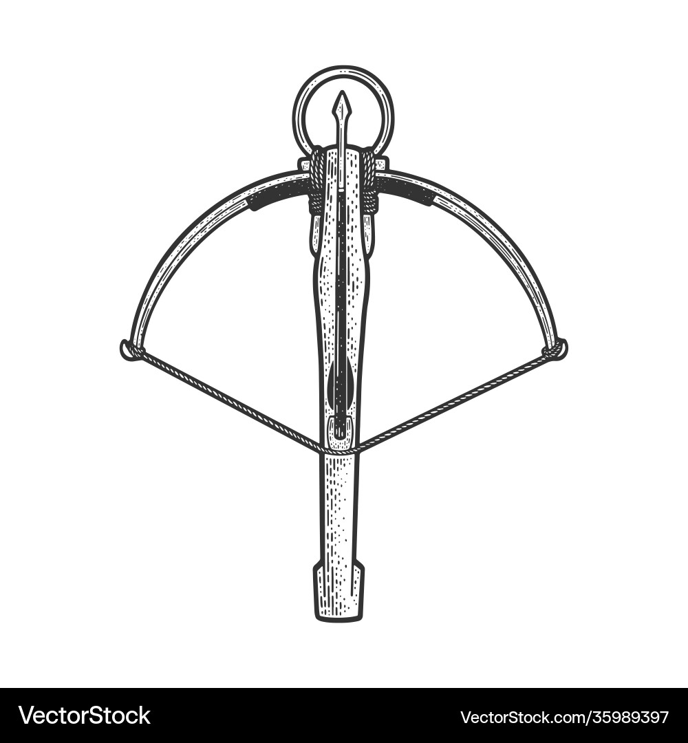 Crossbow sketch Royalty Free Vector Image - VectorStock