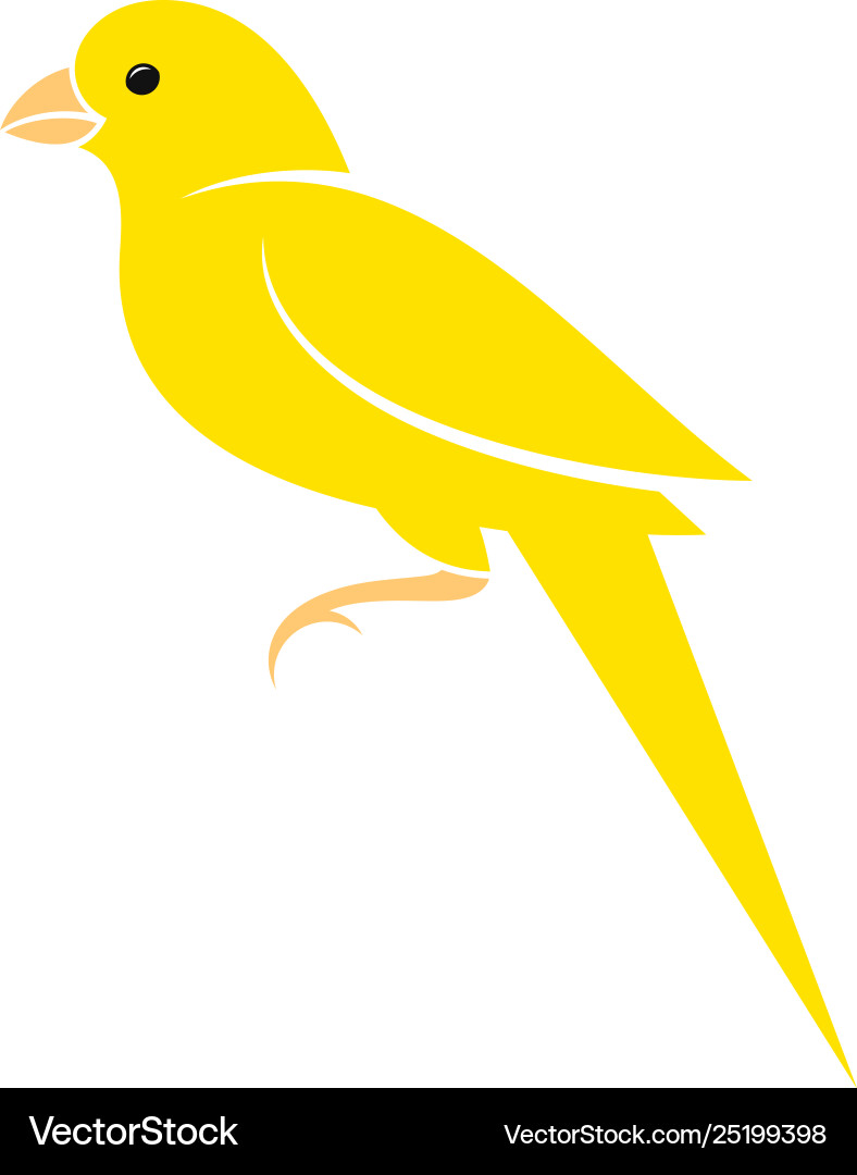 Canary bird Royalty Free Vector Image - VectorStock