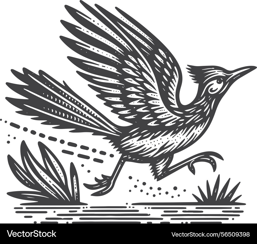 Simple roadrunner flying icon design vintage Vector Image