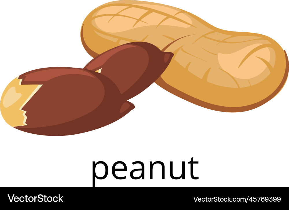 Peanut shell nut icon healthy raw snack Royalty Free Vector